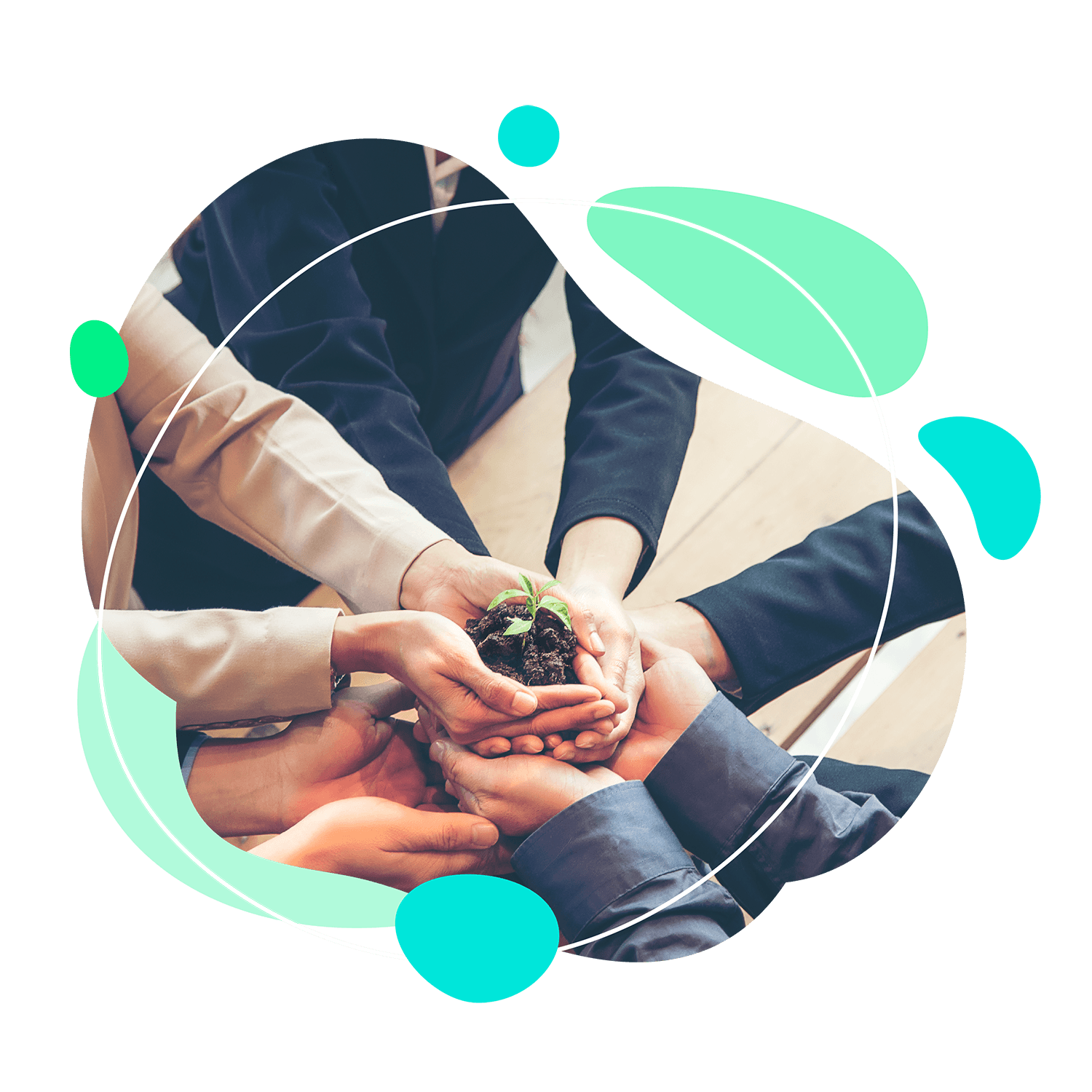 Hello Partner | Bloom Growth™